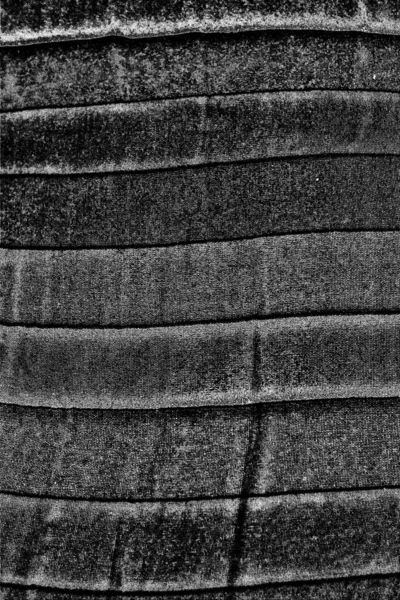 Muscle texture Stock Photos, Royalty Free Muscle texture Images ...