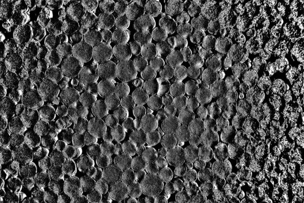 Cellular texture Stock Photos, Royalty Free Cellular texture Images ...
