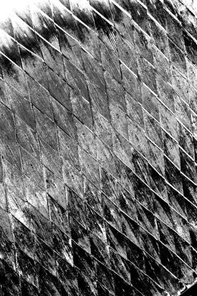 Fishbone texture images libres de droit, photos de Fishbone texture ...