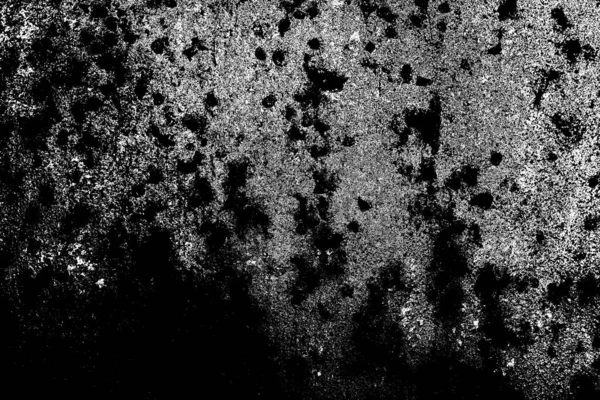 Fotos de Formigas em fundo preto, Imagens de Formigas em fundo preto ...