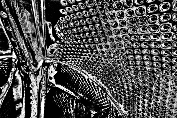 Giger alien fotos de stock, imágenes de Giger alien sin royalties ...