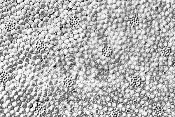 Microspheres Stock Photos, Royalty Free Microspheres Images | Depositphotos