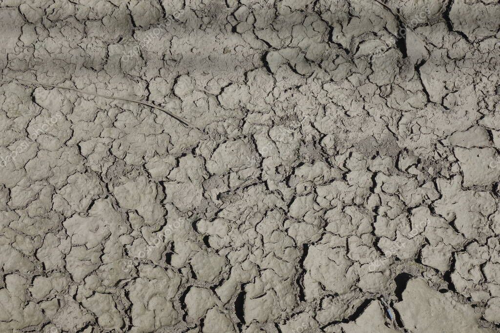 Grietas de contracción y desecación en tierra seca. Debido a la falta ...