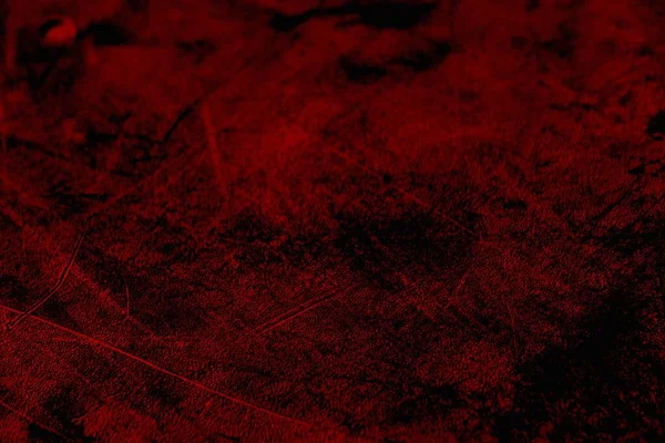 Cardinal bird background Stock Photos, Royalty Free Cardinal bird ...