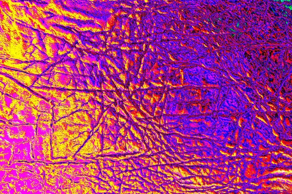 Arbol de colores Stock Photos, Royalty Free Arbol de colores Images ...