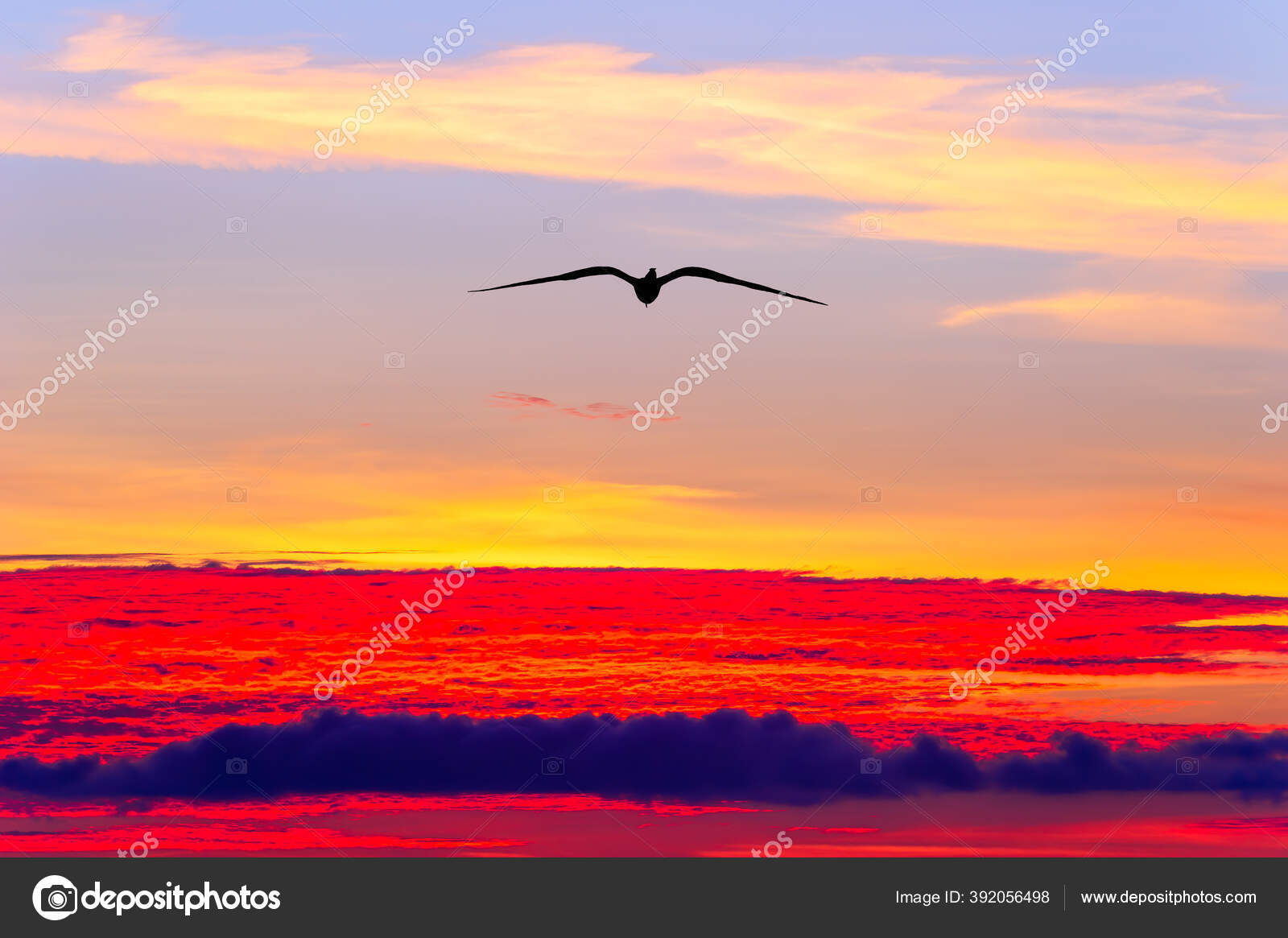 Single Bird Silhouette Flying High Clouds — Stock Photo © mexitographer ...