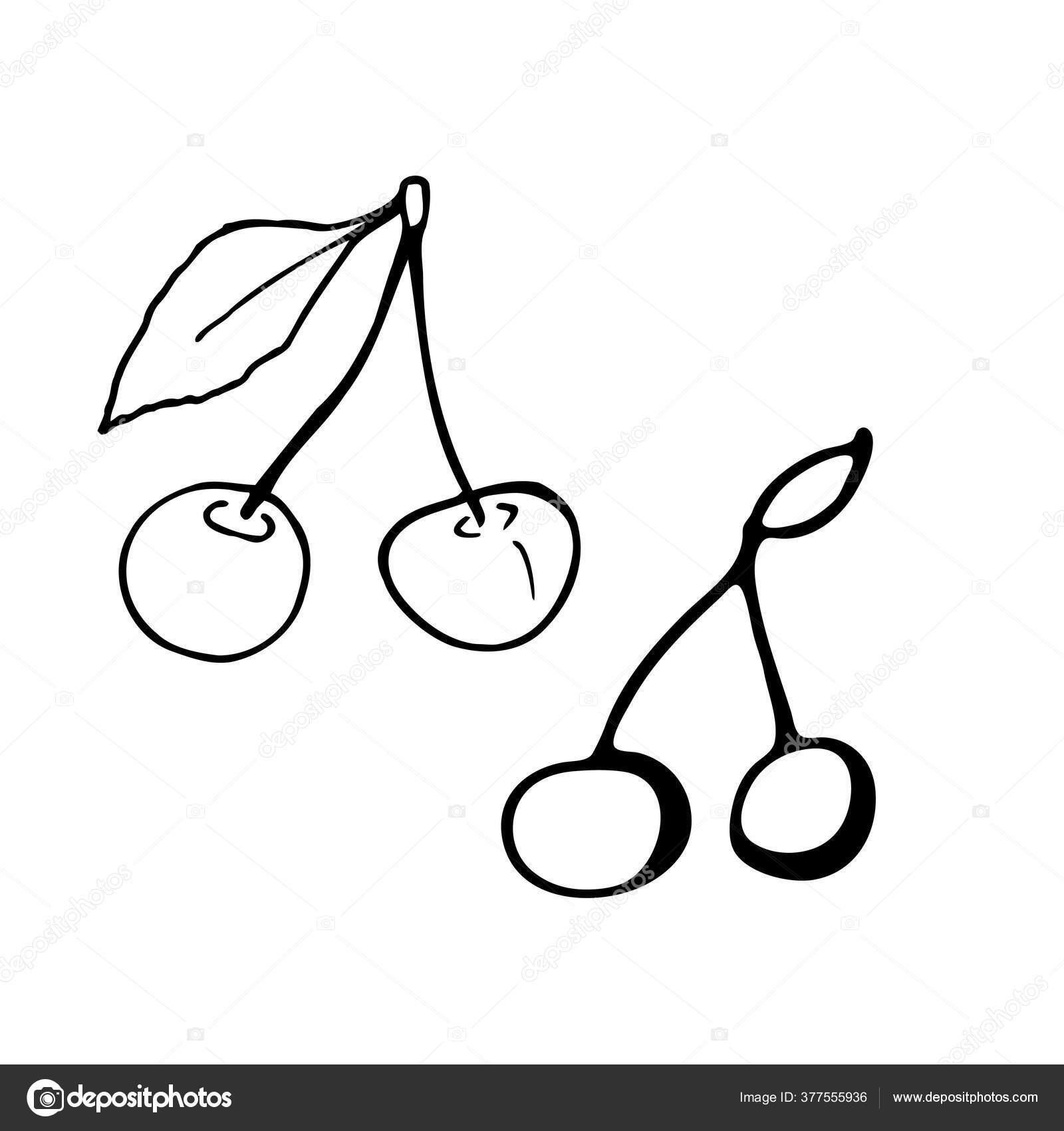 Cereza Con Tallo Hoja Icono Garabato Dibujado Mano Aislado Transparente ...