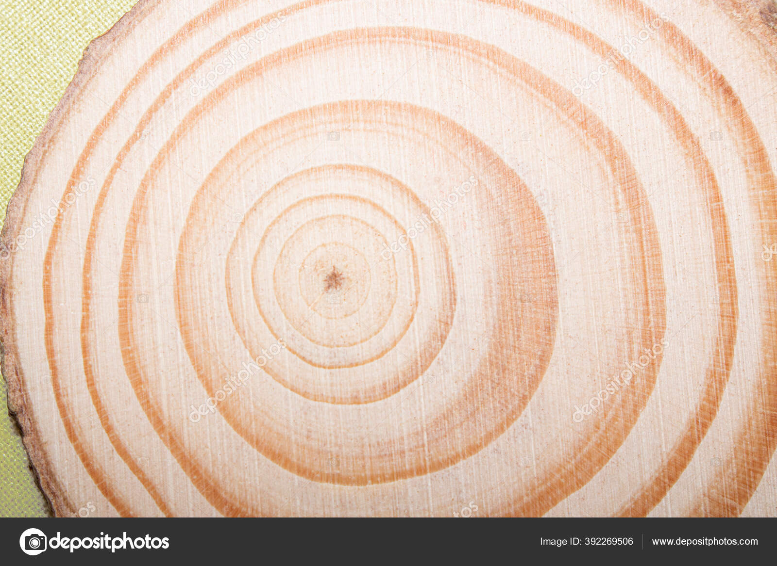 Wood Grain Circular Texture Stock Photo by ©MiguelRA 392269506