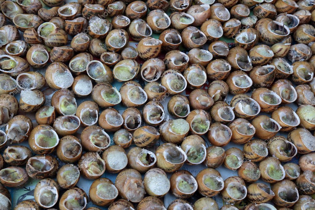 Caracoles launa, preparación antes de ponerlos en la parrilla, comida ...