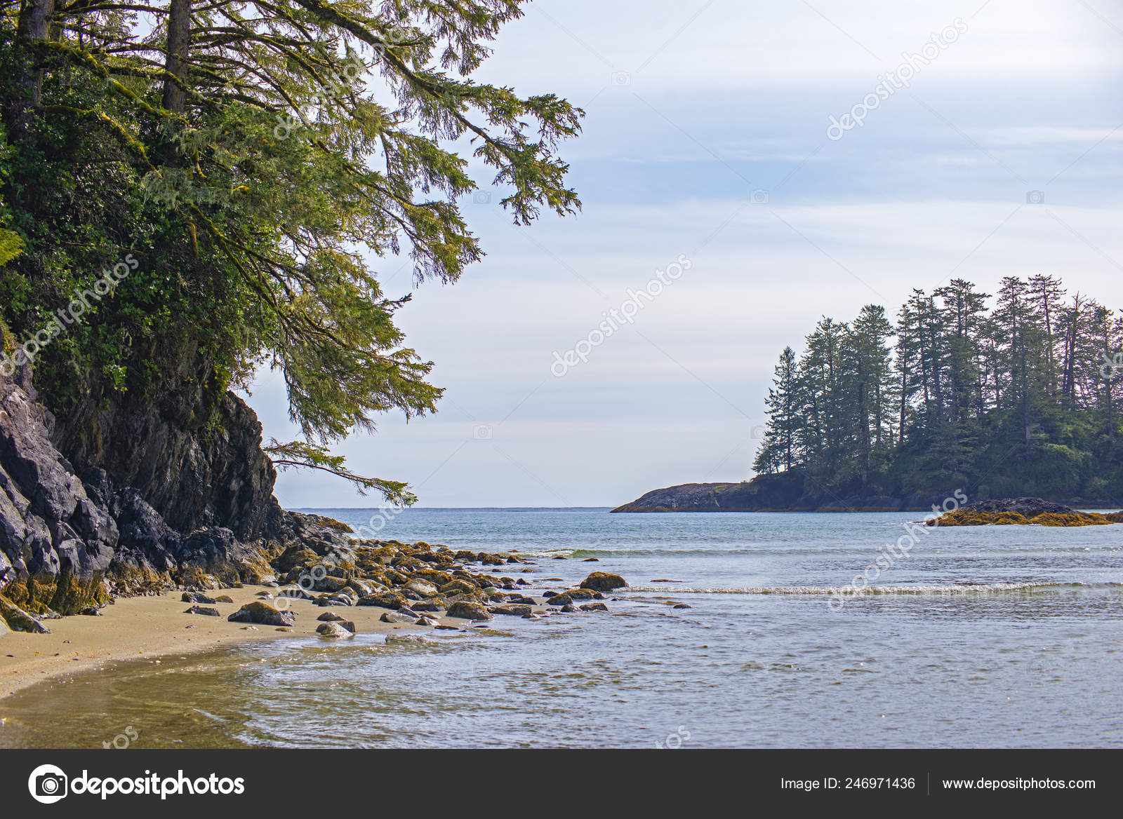 Small Island Pine Trees Long Beach Tofino Popular Destination Vancouver ...