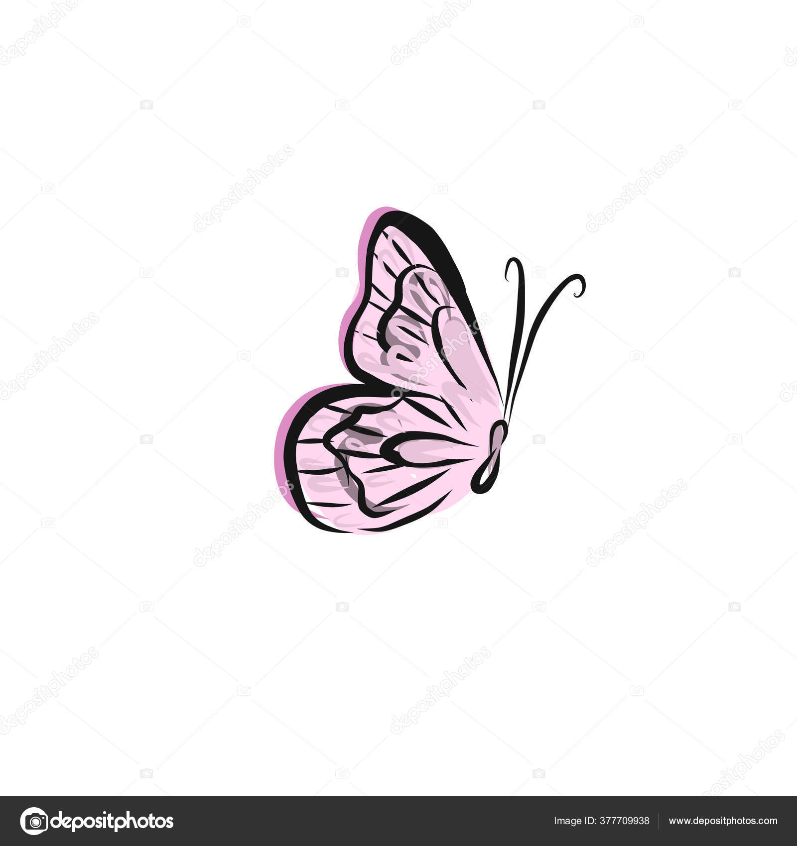 Pink Butterfly Flies Light Background Insect Wings Summer Symbol Nature ...
