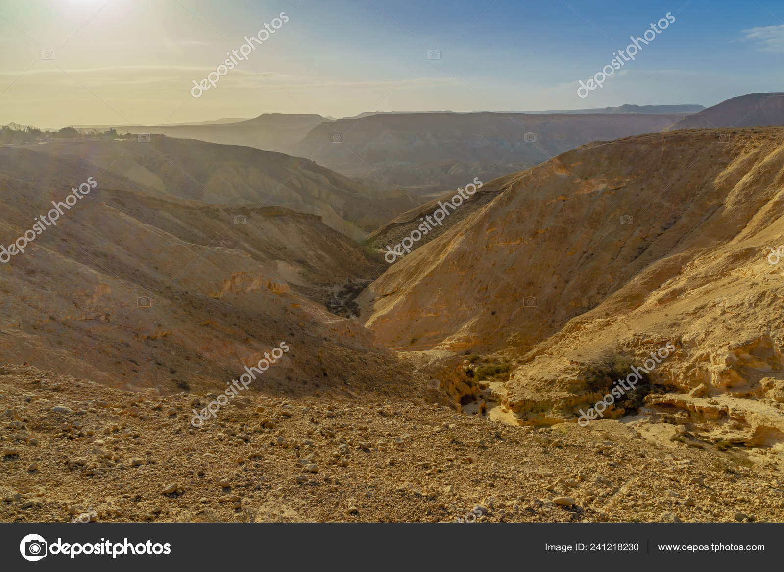Landscape Nahal Havarim Sde Boker Negev Desert Southern Israel — Stock Photo © RnDmS #241218230