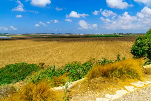 Israel countryside Stock Photos, Royalty Free Israel countryside Images ...