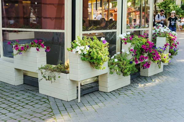 Flowers in the boxes. The summer terrace of the restaurant is decorated ...