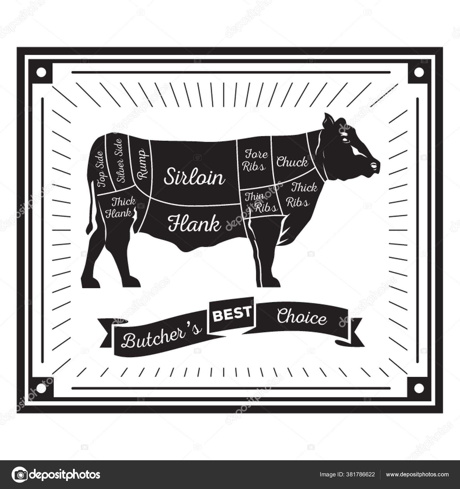 Butcher Cow Cuts Diagram Stock Vector by ©captainvector 381786622
