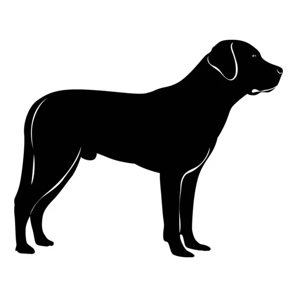 14,215,738 Rottweiler logo Vector Images | Depositphotos