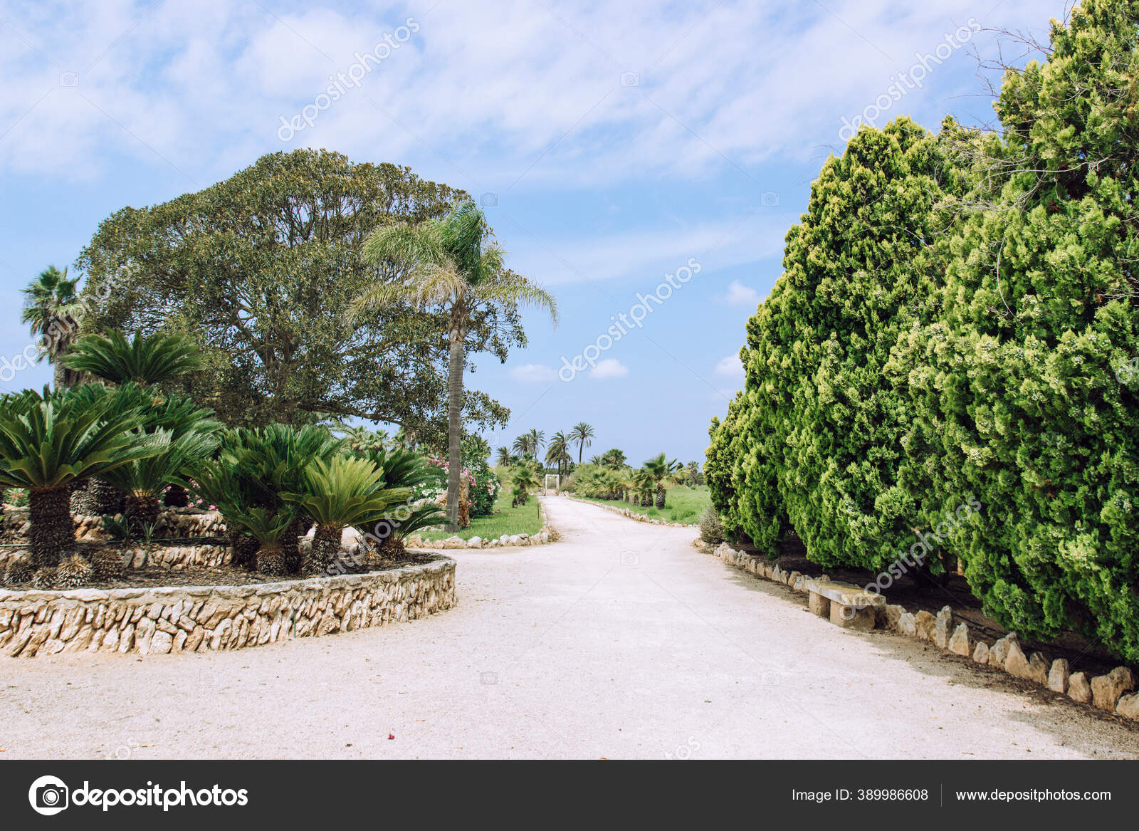Footpath Botanical Garden Tropical Trees Bushes Place Walking Summer ...