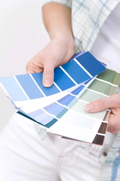 Selecting paint colors Stock Photos, Royalty Free Selecting paint ...