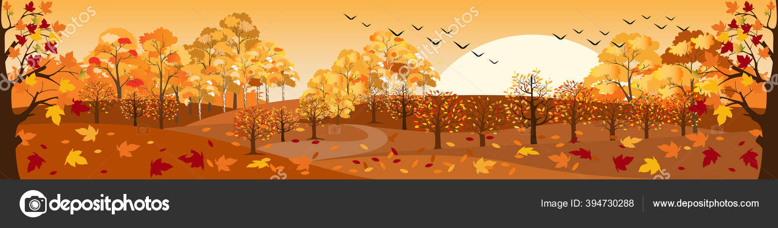 Fall Season Cartoons