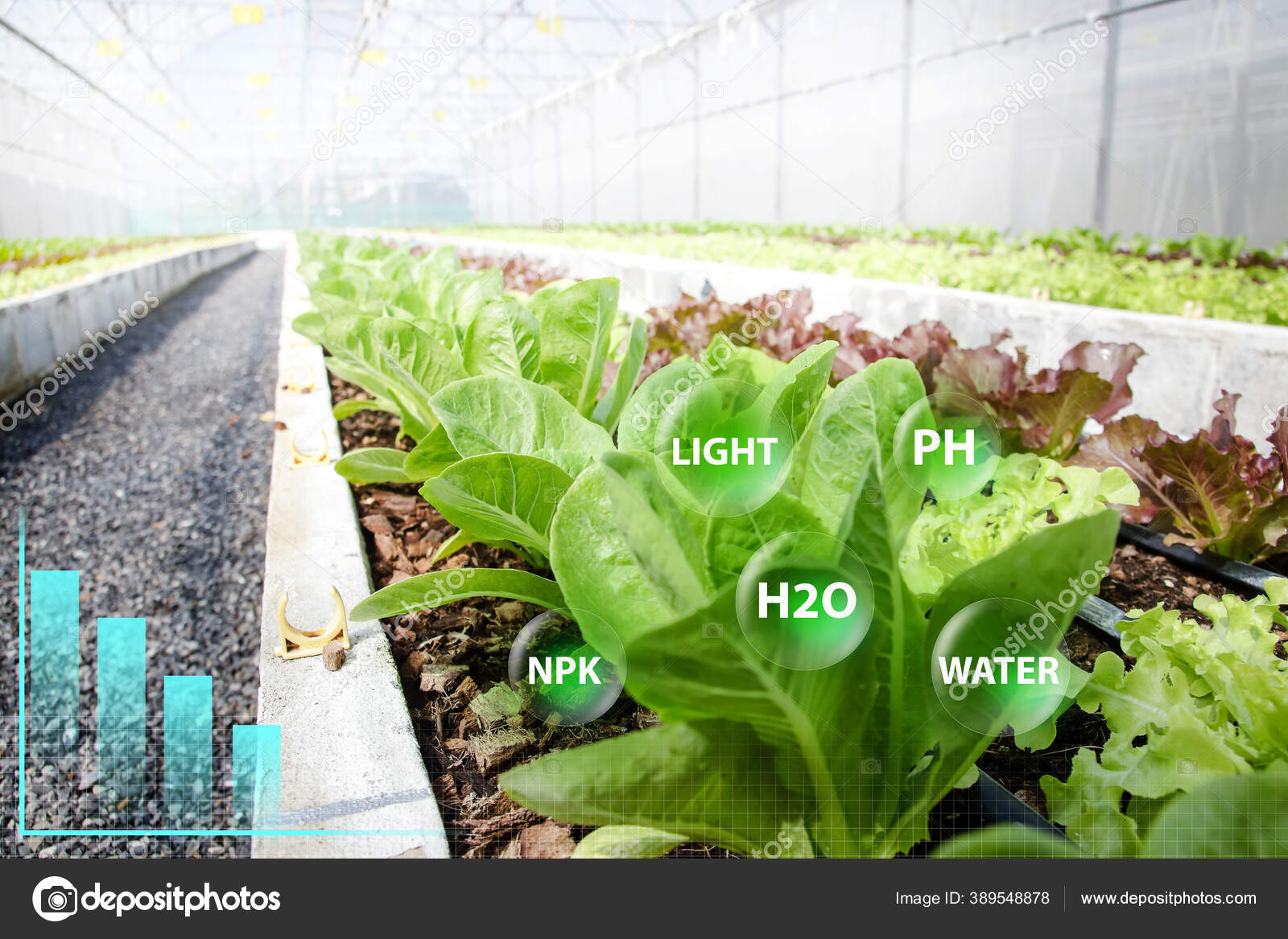 Organic Vegetable Farm Using Modern Technology Graphics Stick Showing ...