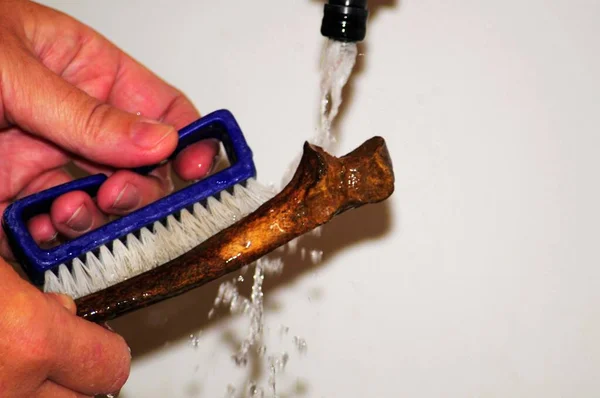 Lavando a Stock Photos, Royalty Free Lavando a Images | Depositphotos