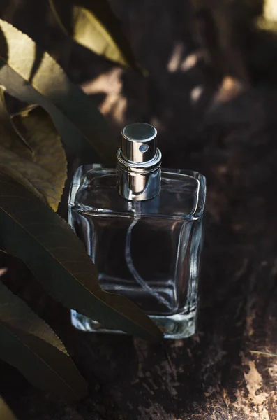A bottle of mens perfume on the background of nature. Perfume on a ...