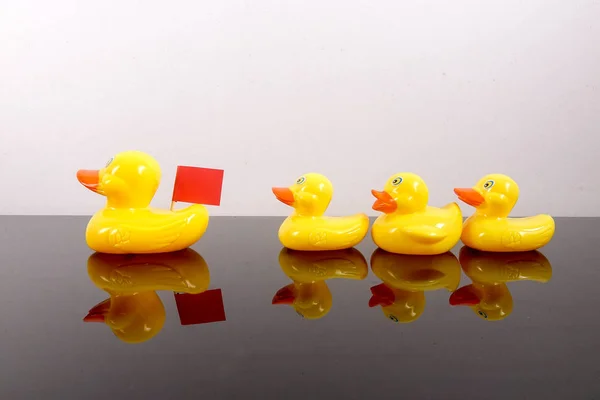 Group Ducks Follwing Big Duck Leadership Conceptual Stock Photo by ...