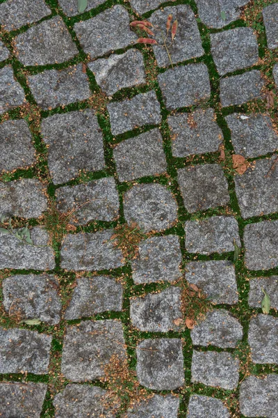 Textura de pavimento empedrado fotos de stock, imágenes de Textura de ... Textura de pavimento empedrado fotos de stock, imágenes de Textura de ...
