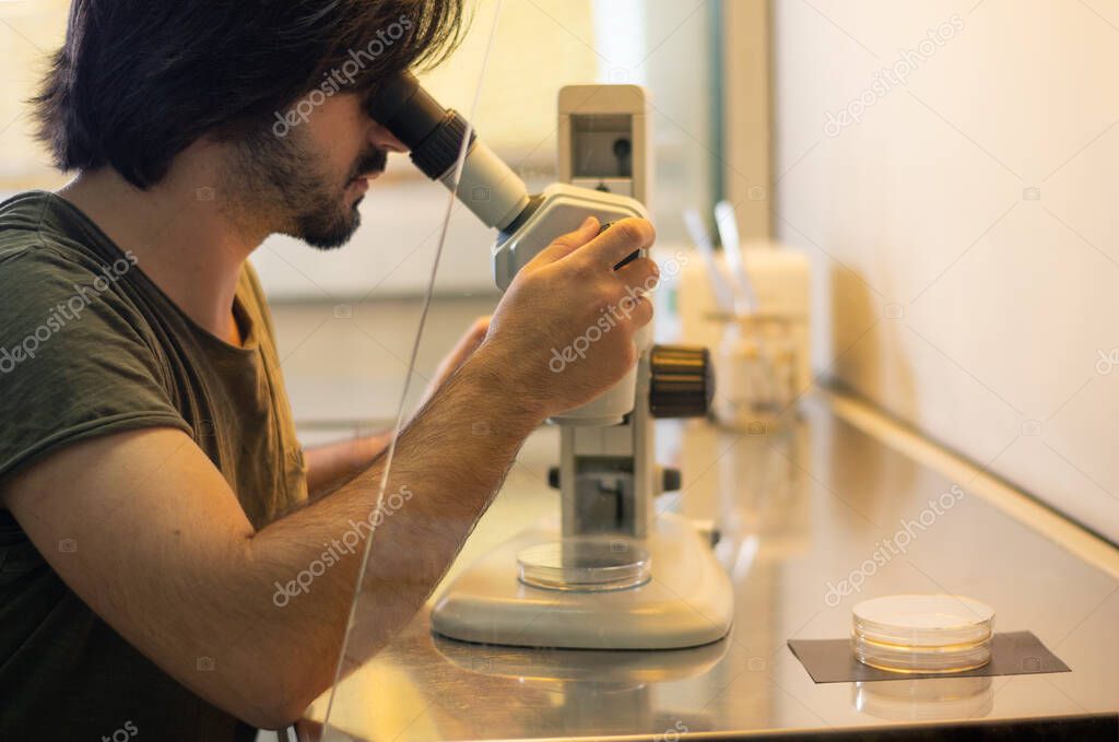 Joven investigador mirando a través de un microscopio estéreo dentro de ...