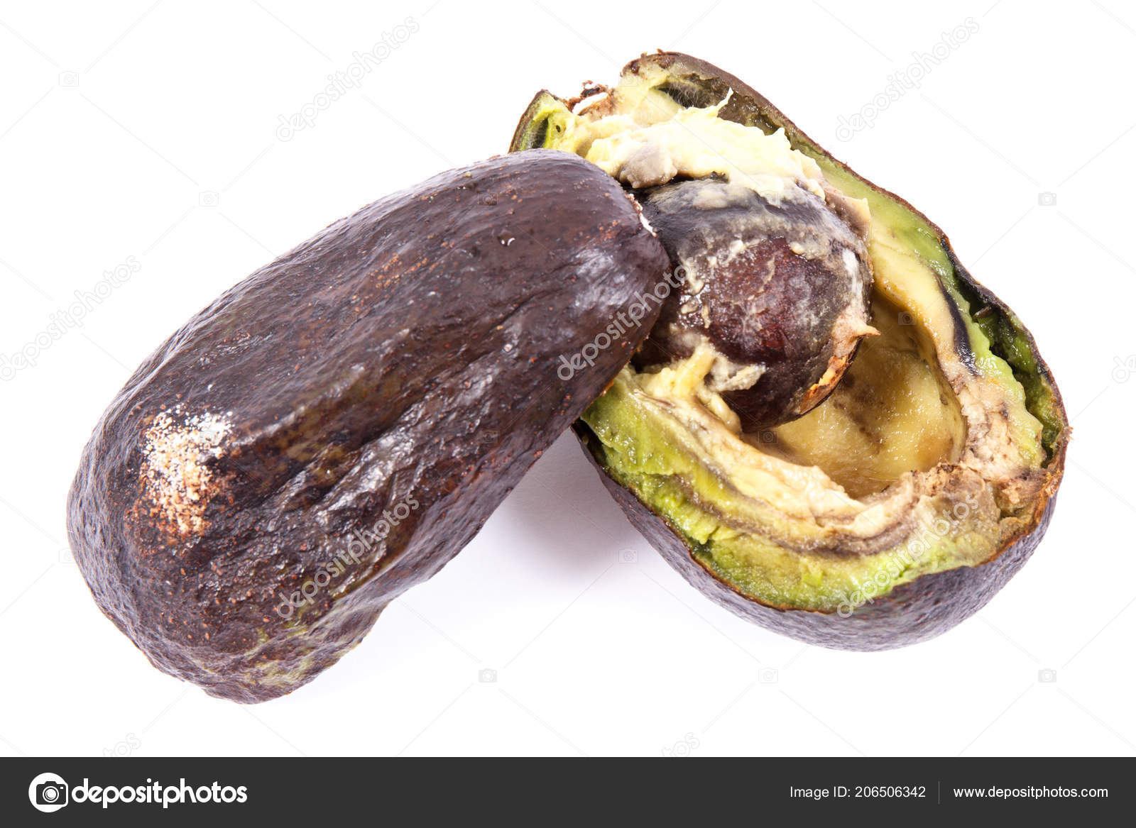 Old Wrinkled Avocado Mold White Background Unhealthy Food — Stock Photo ...