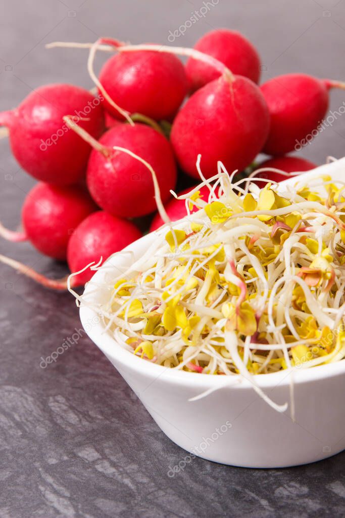 Canalón de rábano fresco nutritivo y vegetal como fuente natural de ...