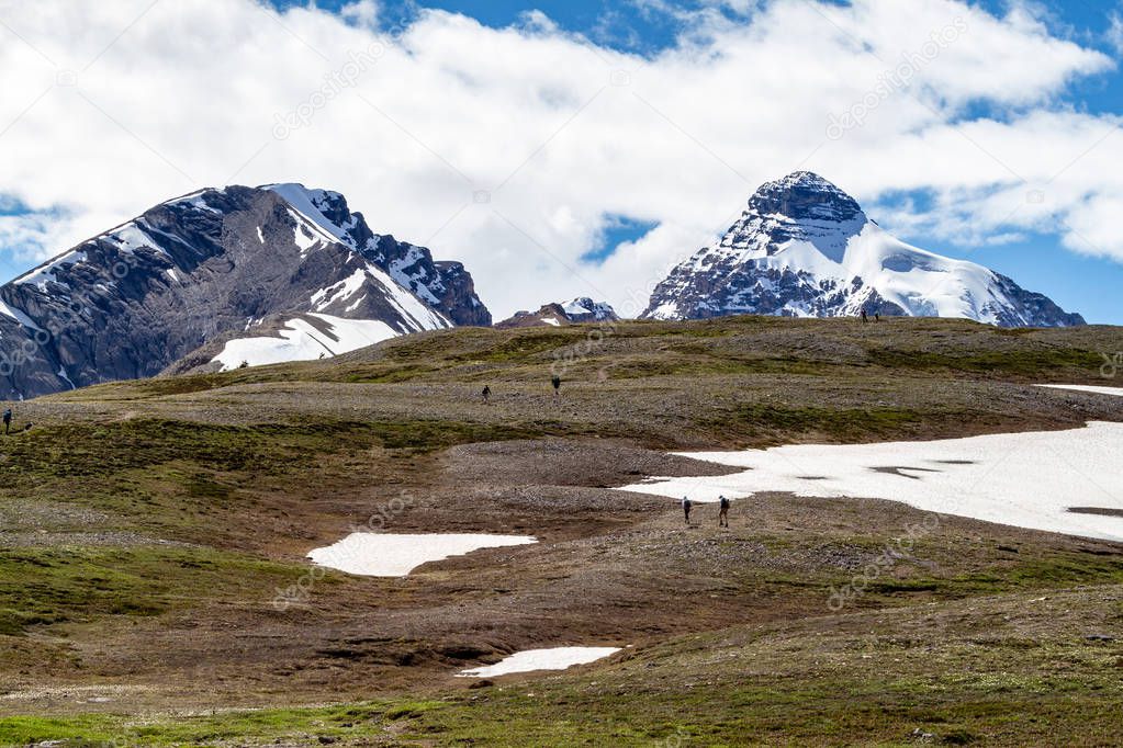 Cresta de Parker Ridge en el Icefields Parkway en el Parque Nacional ...