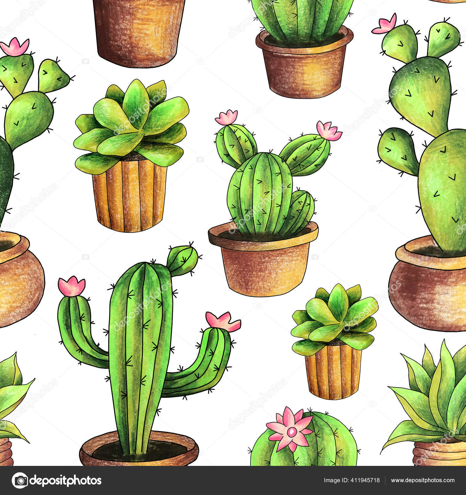 Seamless Pattern White Background Cactus Pot Drawing Hand Colored ...