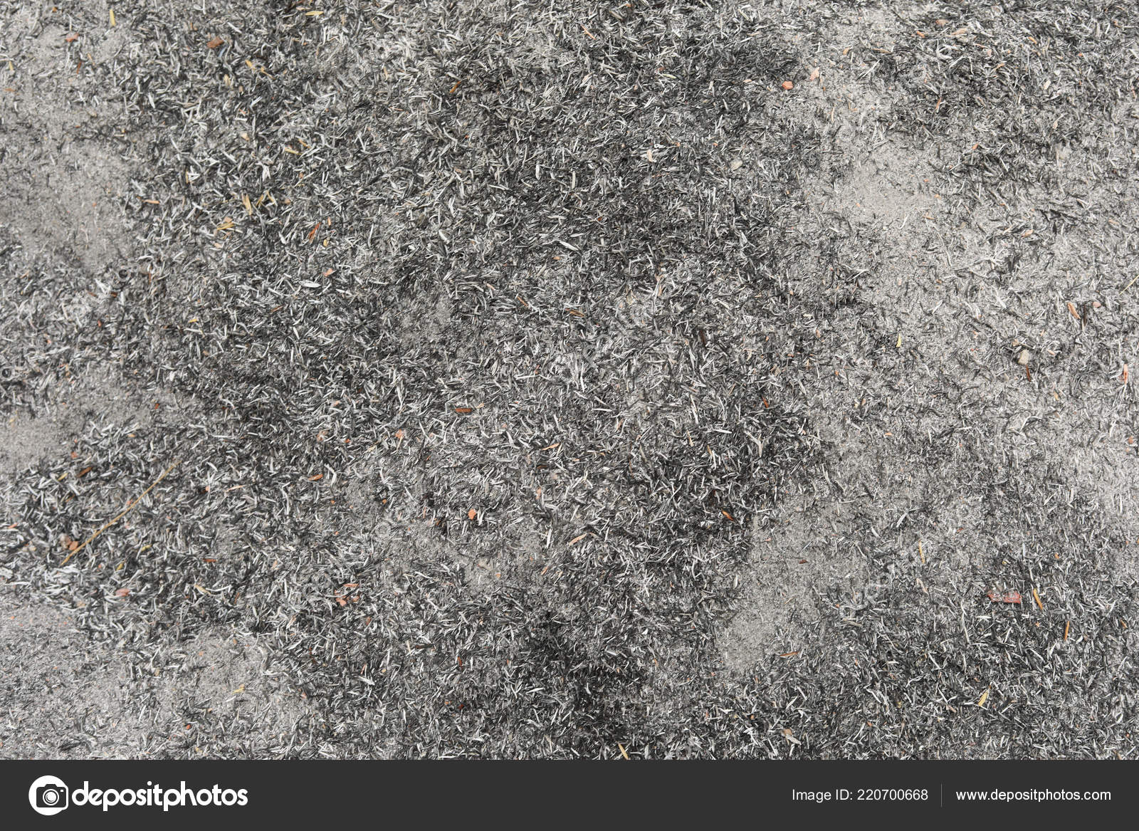 Rice Husk Ash Burning Rice Husk — Stock Photo © nitimongkolchai #220700668