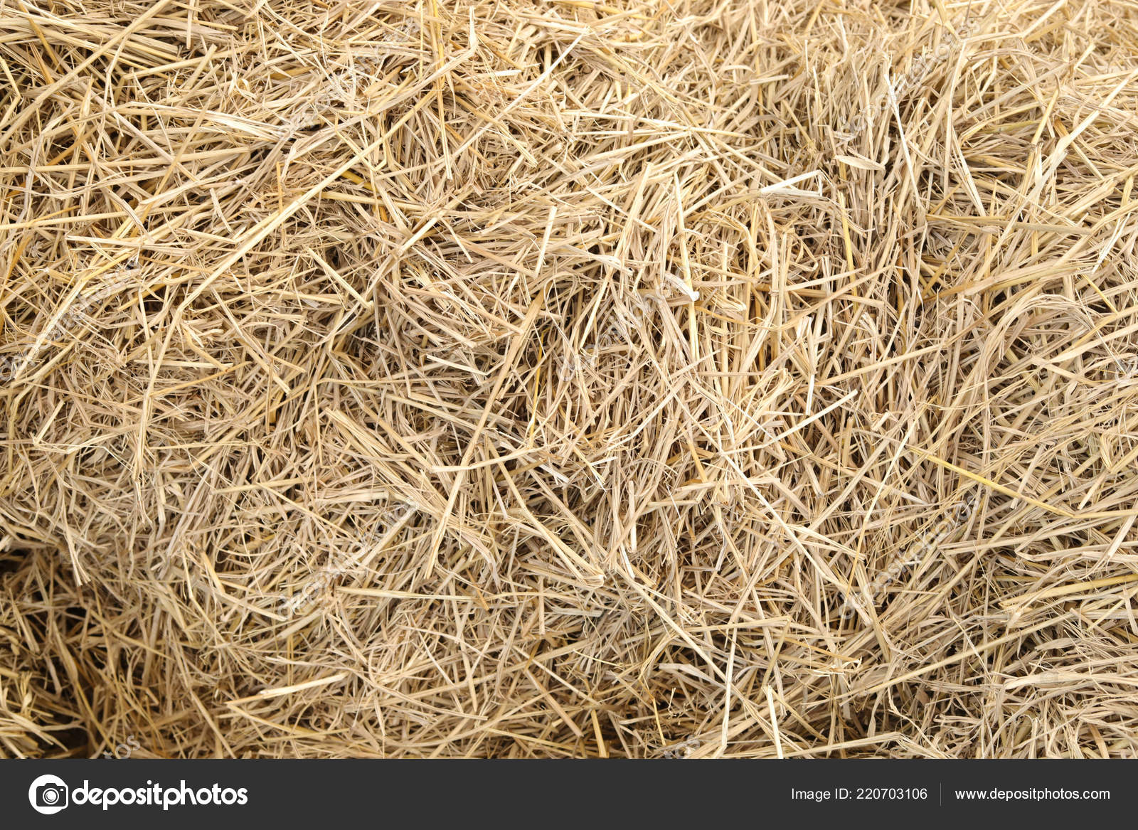 Dry Straw Background — Stock Photo © nitimongkolchai #220703106