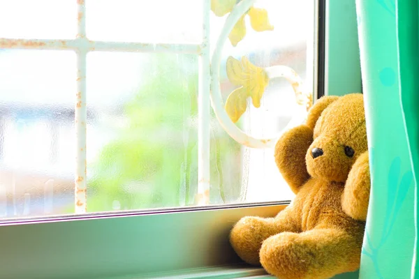 Teddy bear window Stock Photos, Royalty Free Teddy bear window Images ...