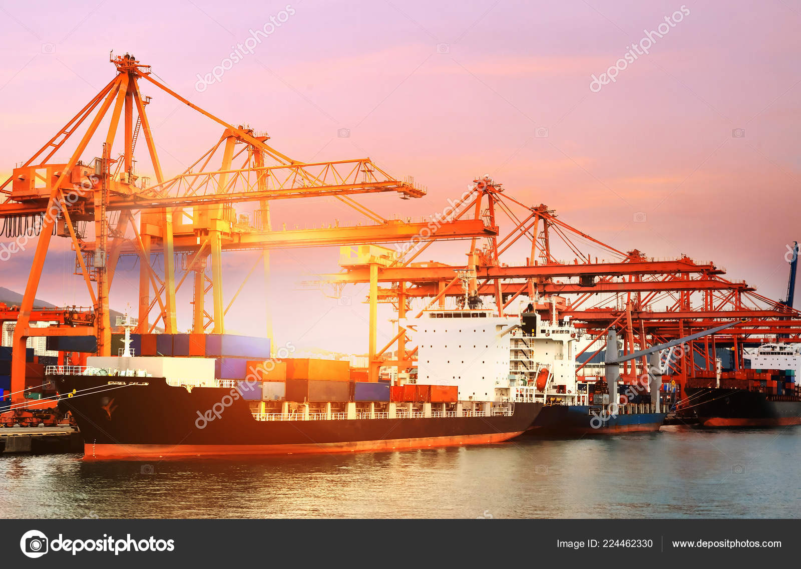 Cargo Ship Operations Container Cargo Terminal Port Busan Stock Photo ...