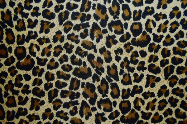 Leopard texture Stock Photo by ©MarcoGovel 38396667