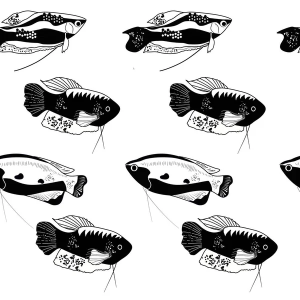 59 Gourami Vector Images | Depositphotos