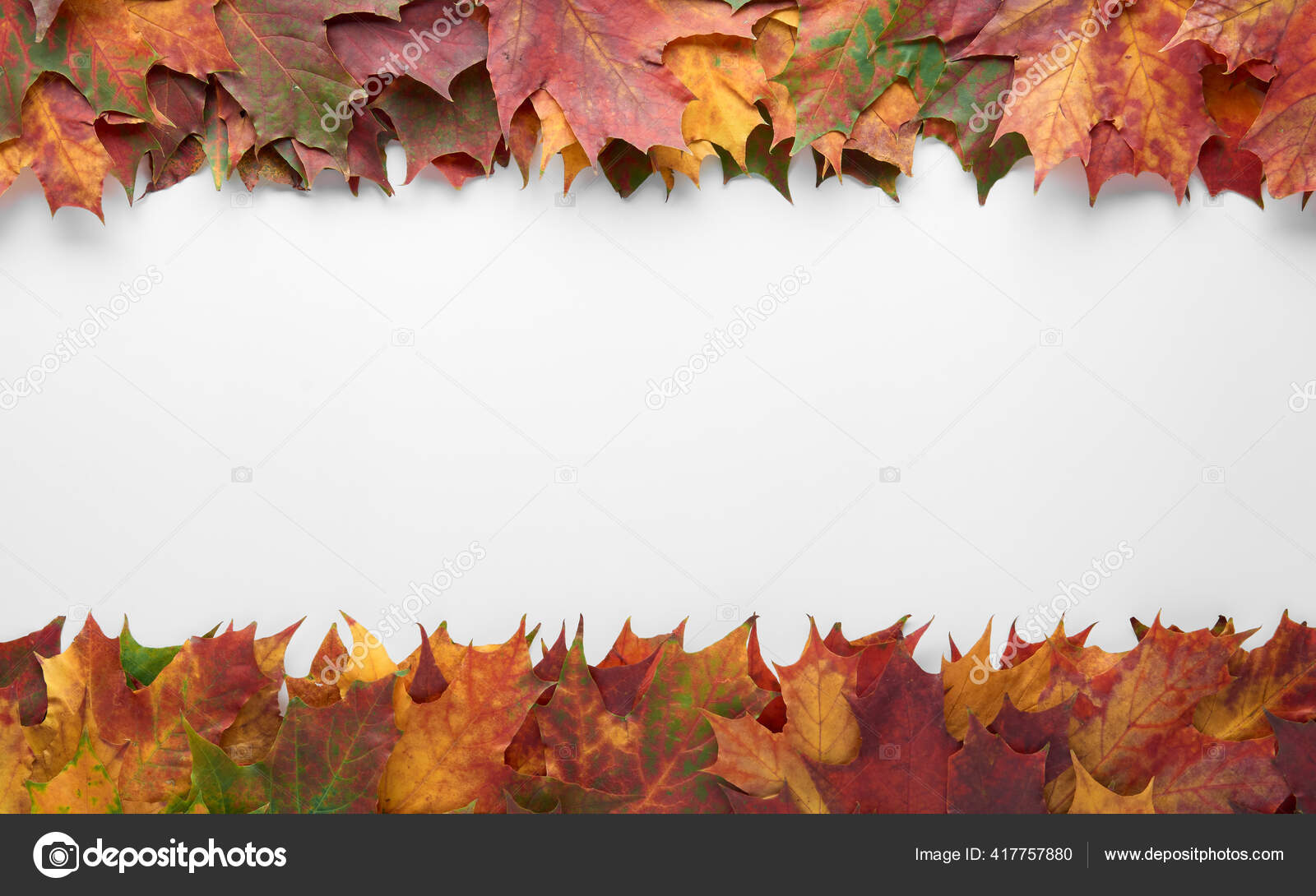 Fall Leaves Top Border