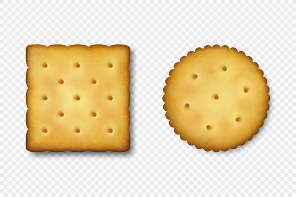 28,798,020 Graham cracker Vector Images | Depositphotos