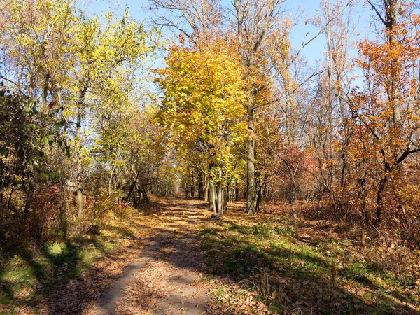 Bling trail Stock Photos, Royalty Free Bling trail Images | Depositphotos