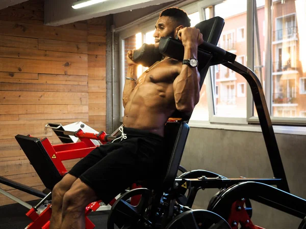 Hack Squat Machine Muscles Worked