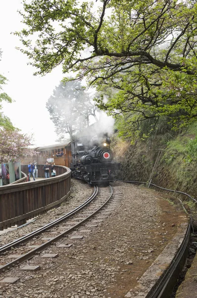 Old Fashioned Train Alishan Chiayi Taiwan – Stock Editorial Photo ...
