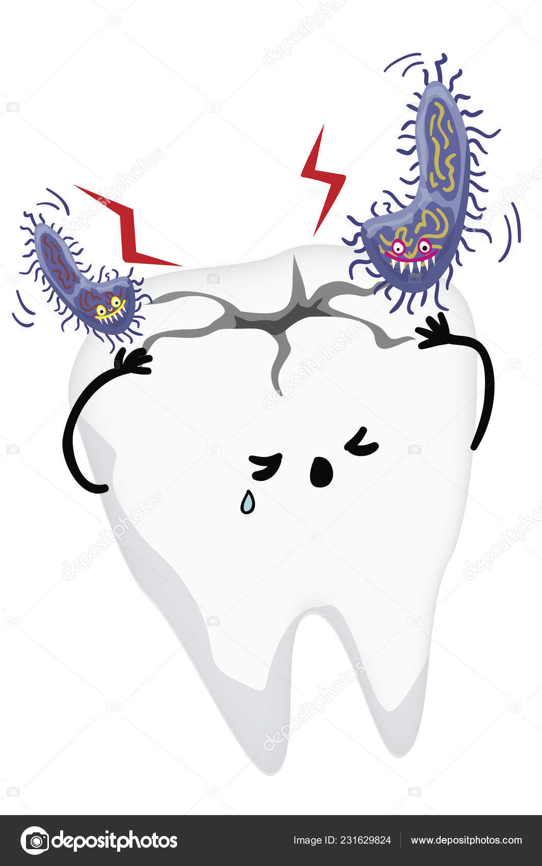 Human Teeth Tooth Decay Cartoon Illustration Stock Illustration by ...