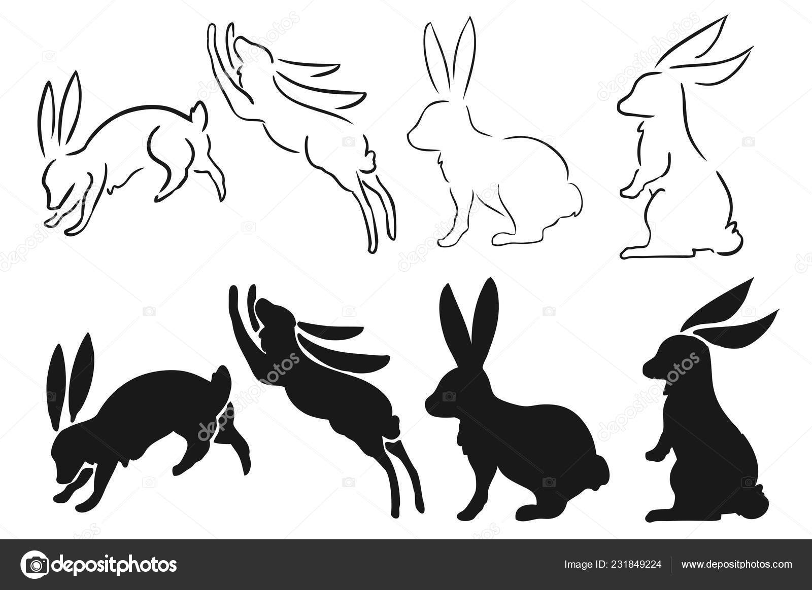 Set Rabbits Banner Stylish Illustration — Foto de stock #231849224 ...