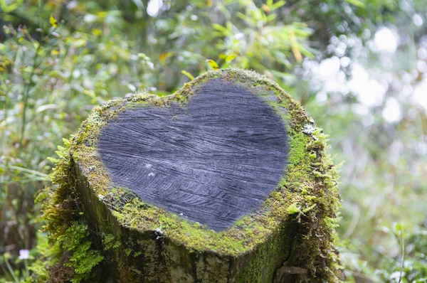 Heart in nature Stock Photos, Royalty Free Heart in nature Images ...