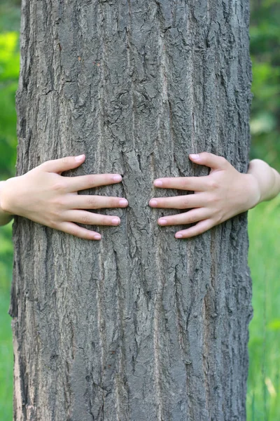 Hand hug Stock Images - Search Stock Images on Everypixel
