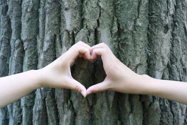 Hand hug Stock Images - Search Stock Images on Everypixel