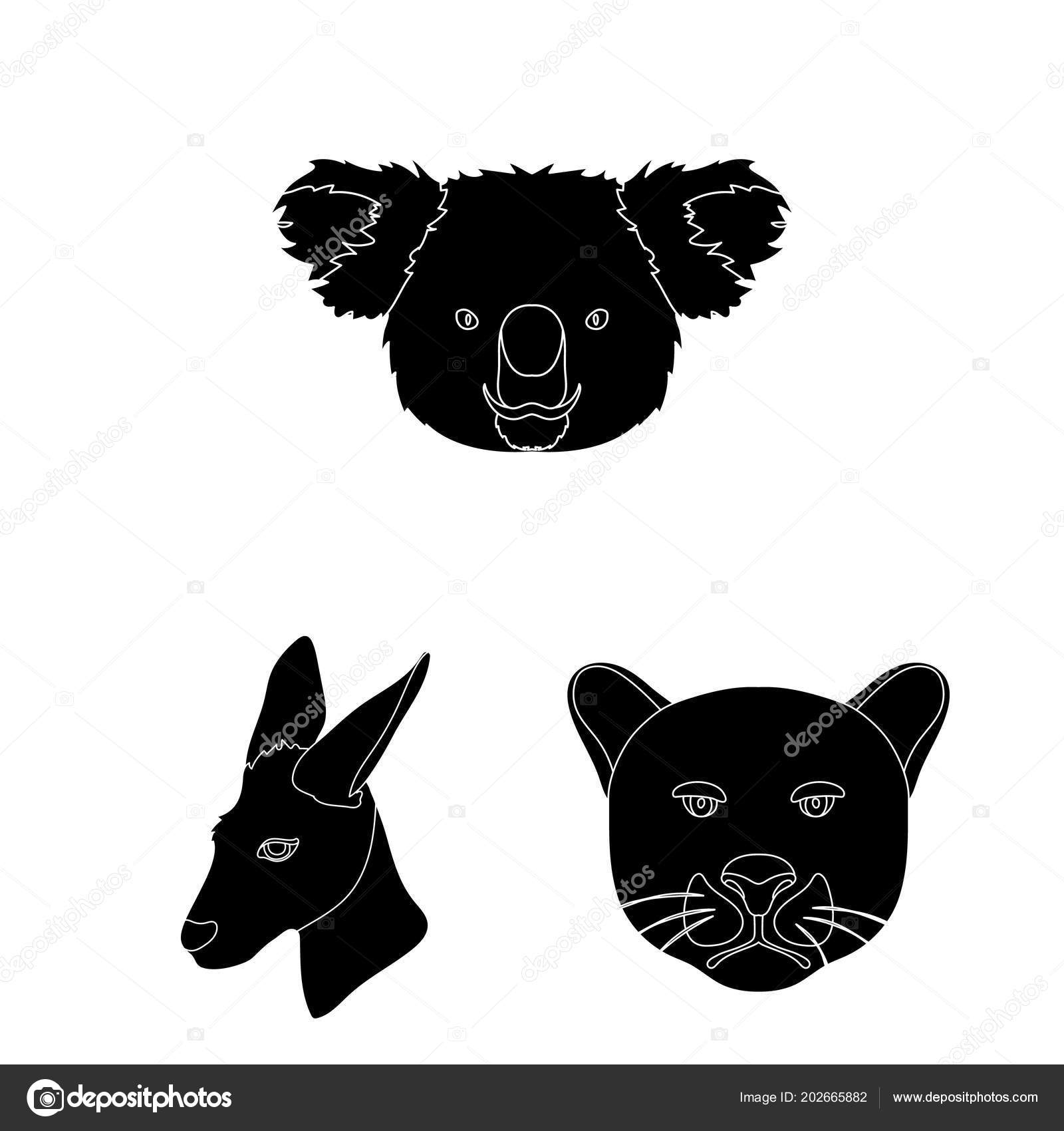 Iconos de animales salvajes negros en la colección de conjuntos para el ...